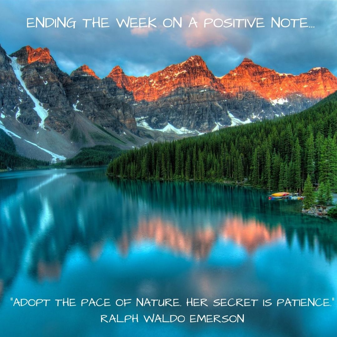 Ending the week on a positive note… – OT Research Corner